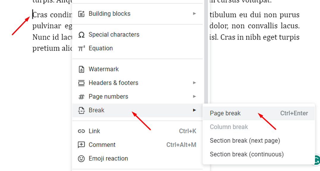 How To Add Or Remove Page Breaks In Google Docs 2023 
