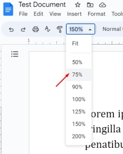 How to Zoom In and Zoom Out in Google Docs [2023]